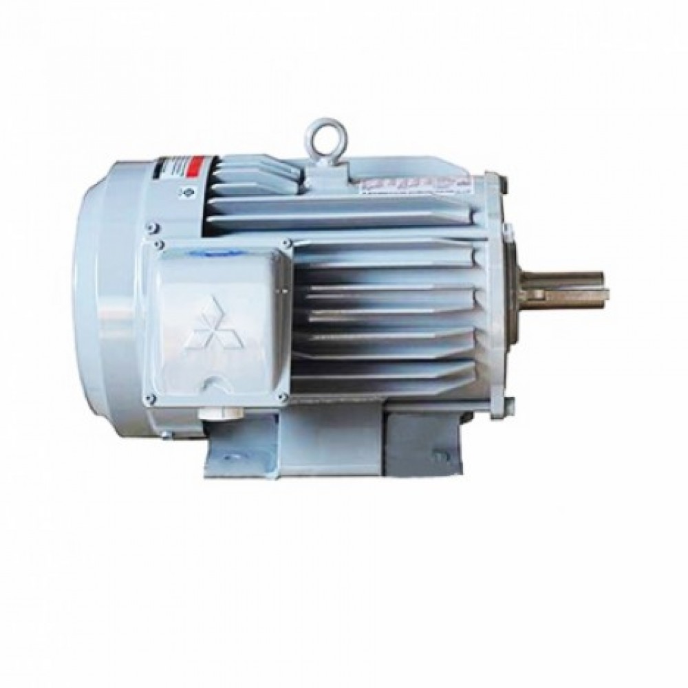 มอเตอร์ไฟฟ้า MITSUBISHI รุ่น SF-JR 4P (L),(H) ขนาด 3 HP (รอบปกติ 1450 rpm) 380V ลดราคา | iToolmart