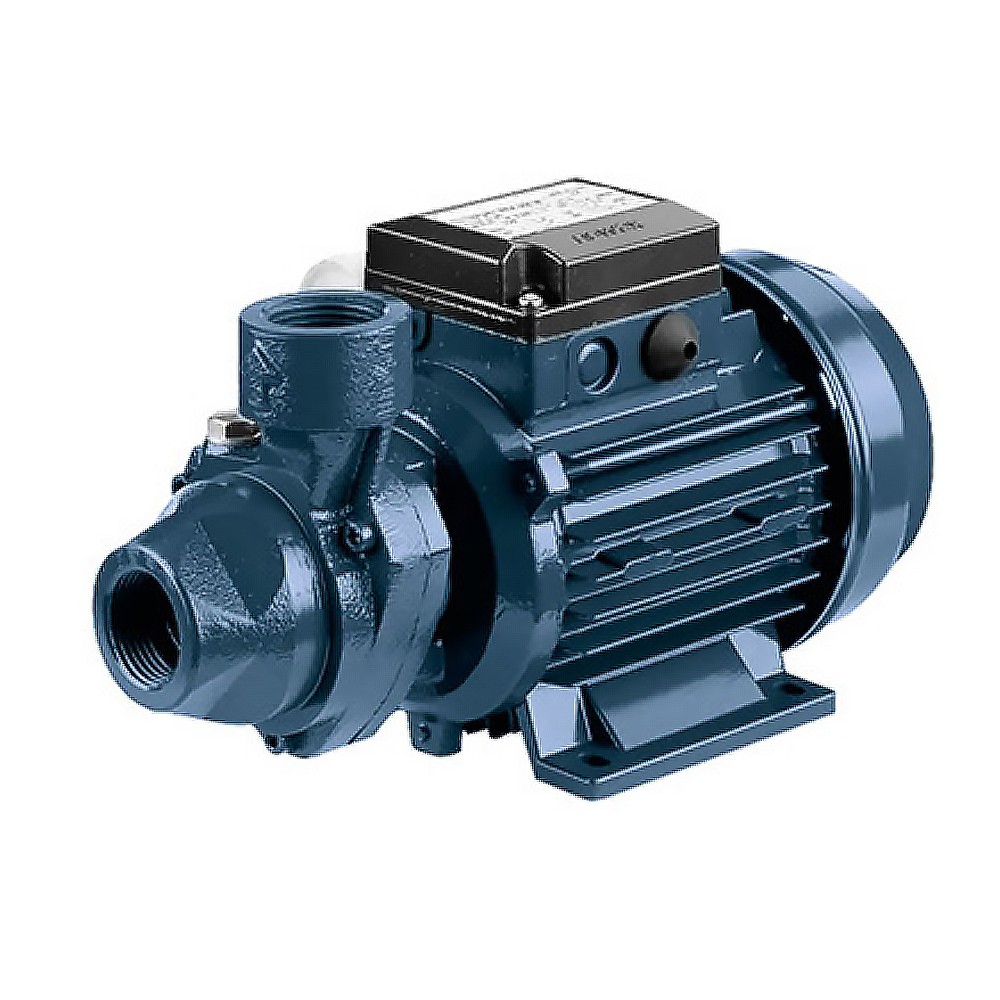 ปั๊มหอยโข่ง Ebara PRA-1.00M ปั๊มใบพัดเฟือง ขนาด 1 นิ้ว X 1 นิ้ว (1 HP 0.75KW 2 สาย) 220V ลดราคา ...