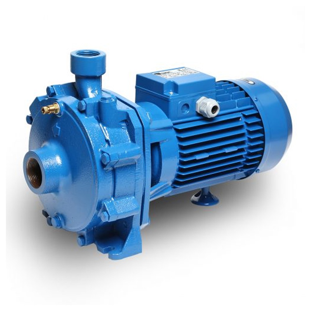 ปั๊มหอยโข่ง Ebara CDA-1.50T หอยโข่งใบพัดคู่ ขนาด 1 นิ้ว 1 ทับ 4 x 1นิ้ว 2สาย 1.5HP 1.1KW 380V ลด ...