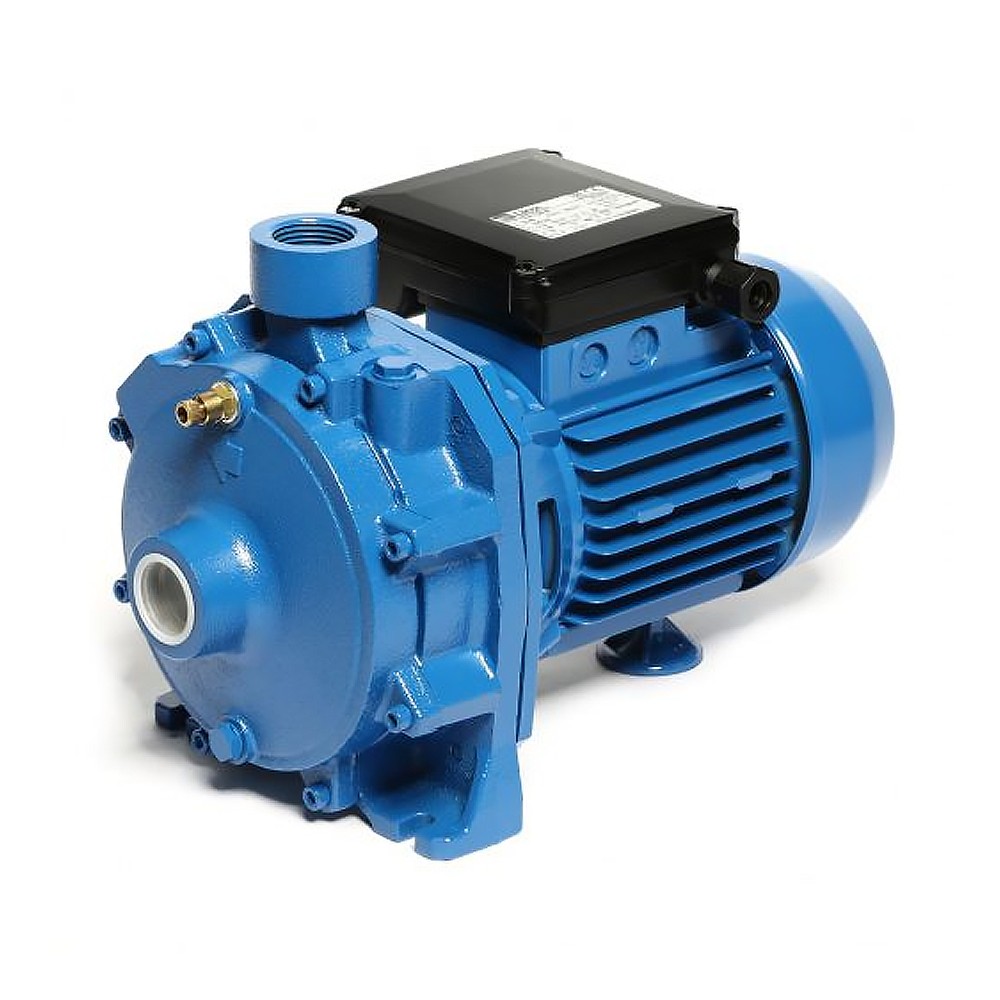 ปั๊มหอยโข่ง Ebara CDA-1.00M หอยโข่งใบพัดคู่ ขนาด 1 นิ้ว x 1 นิ้ว 2สาย 1HP 0.75KW 220V ลดราคา ...